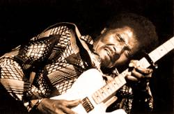 Albert Collins - discography, line-up, biography, interviews, photos
