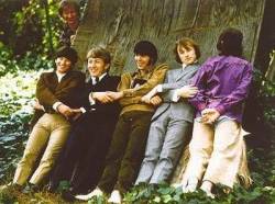 Buffalo Springfield - discography, line-up, biography, interviews, photos