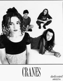 Cranes - discographie, line-up, biographie, interviews, photos