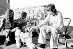 Hatfield and the North - discography, line-up, biography, interviews ...