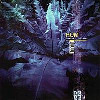 Hum - discography, line-up, biography, interviews, photos