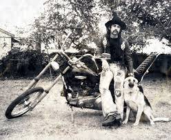 Mason Proffit - discography, line-up, biography, interviews, photos