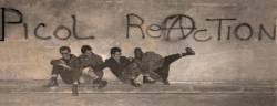 Picol Reaction - discographie, line-up, biographie, interviews, photos