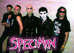 Specimen - discography, line-up, biography, interviews, photos