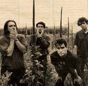 The Afghan Whigs - discography, line-up, biography, interviews, photos