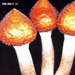 The Big F - discography, line-up, biography, interviews, photos