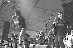 The Cynics - discography, line-up, biography, interviews, photos