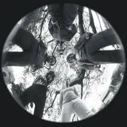 The Dolly Rocker Movement - Discografía, line-up, biografía ...