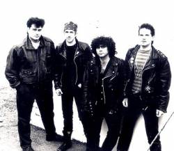 The Freeze - discography, line-up, biography, interviews, photos