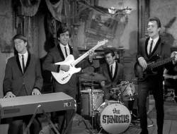 The Standells - discography, line-up, biography, interviews, photos