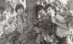 The Strangeloves - discography, line-up, biography, interviews, photos