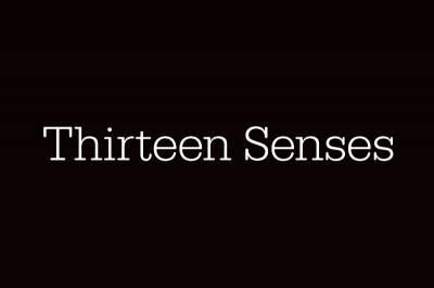 Thirteen Senses - discography, line-up, biography, interviews, photos