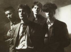 Wall of Voodoo - discography, line-up, biography, interviews, photos