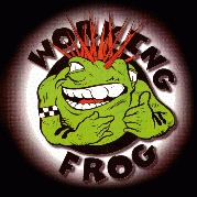 Working Frog - discography, line-up, biography, interviews, photos